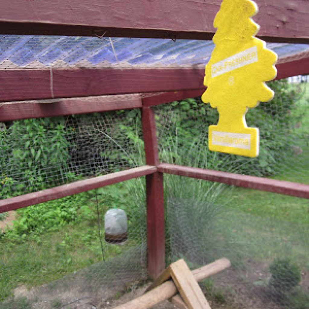 Got FLIES? Vanilla Scented Christmas Trees in the Chicken Coop