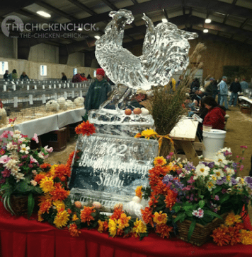 The Boston Poultry Exposition, November 6, 2011 | The Chicken Chick®