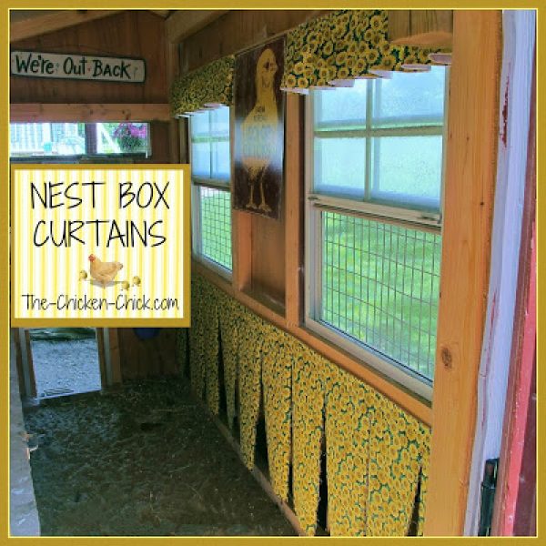 Chicken Nest Box Curtains- More than a Fashion Statement