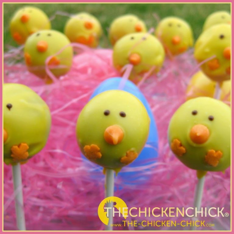 Chick Cake Pops- DIY Instructions | The Chicken Chick®