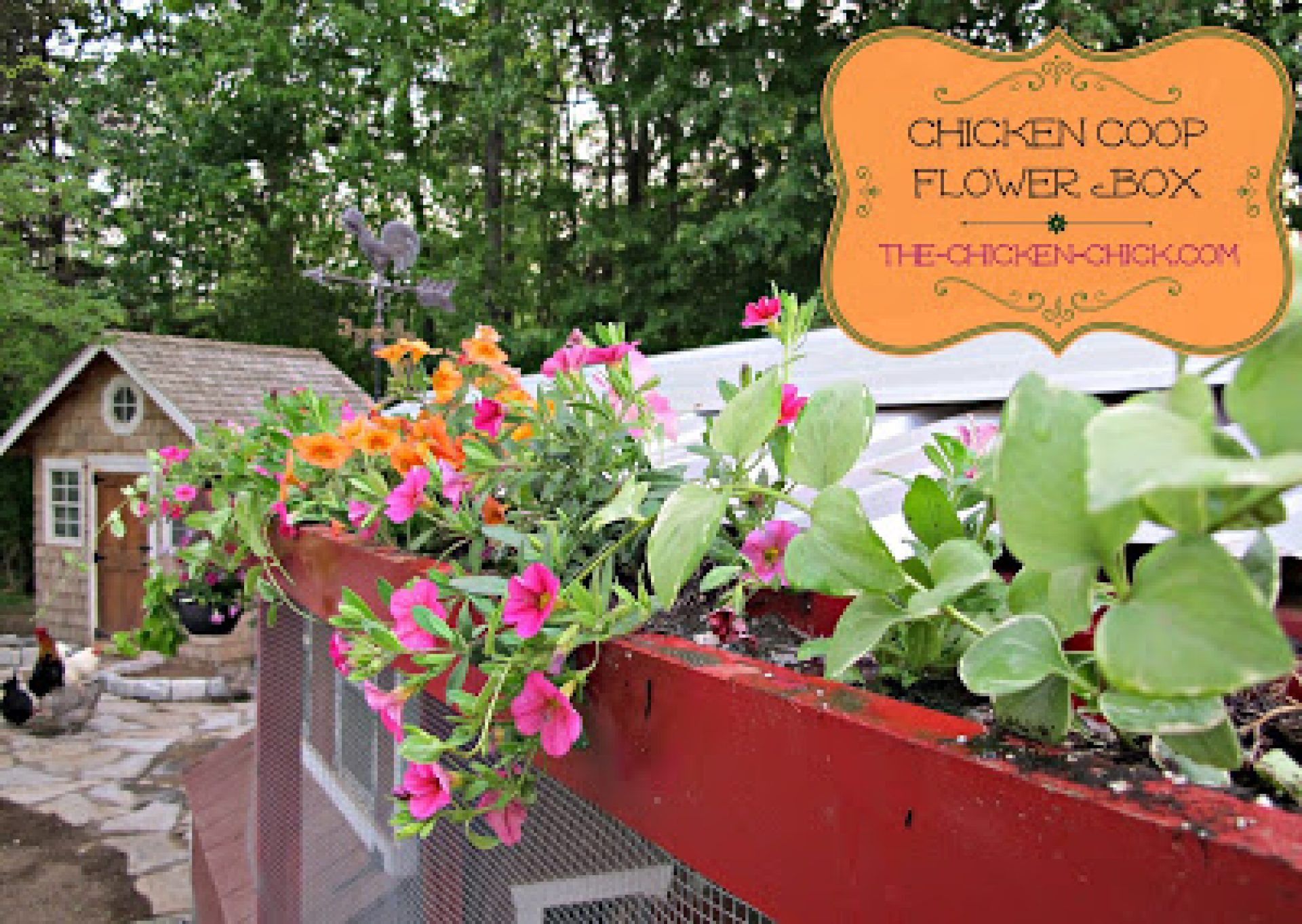 DIY: Chicken Coop Flower Box | The Chicken Chick®