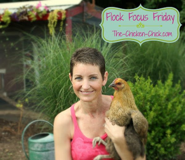 Flock Focus Friday, 8/16/13 | The Chicken Chick®