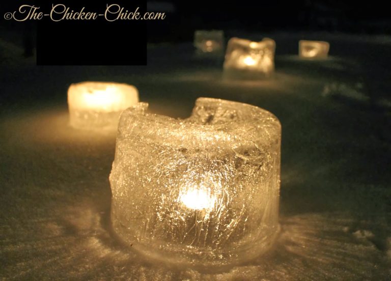 DIY Winter Ice Lanterns Tutorial | The Chicken Chick®