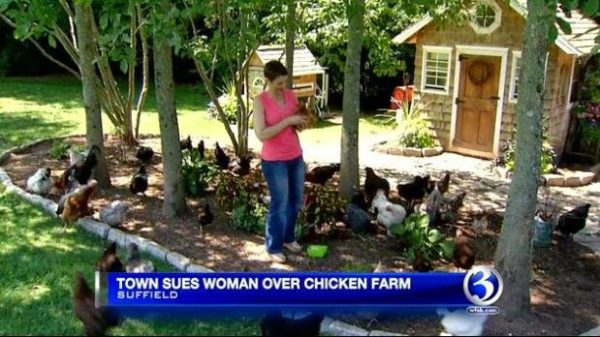 Legalizing Backyard Chickens from a Former Chicken Outlaw Attorney
