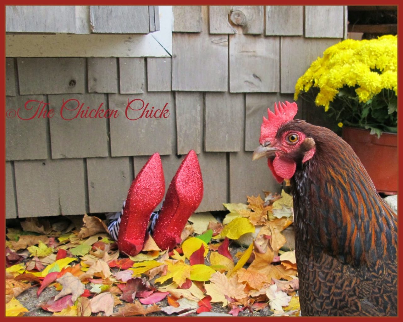 Wizard of Oz Ruby Slippers Tutorial | The Chicken Chick®