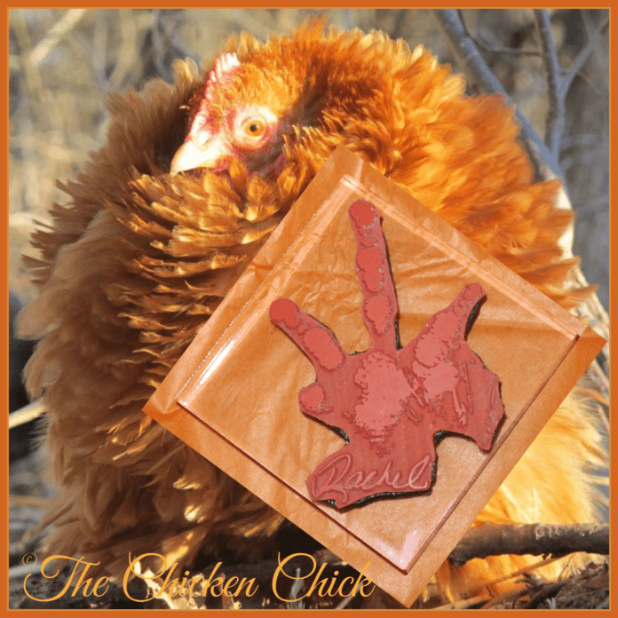 Flock Focus Friday, 11/7/14 | The Chicken Chick®