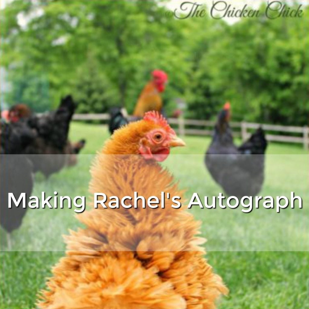 Rachel's Autograph: Custom Rubber Stamp | The Chicken Chick®