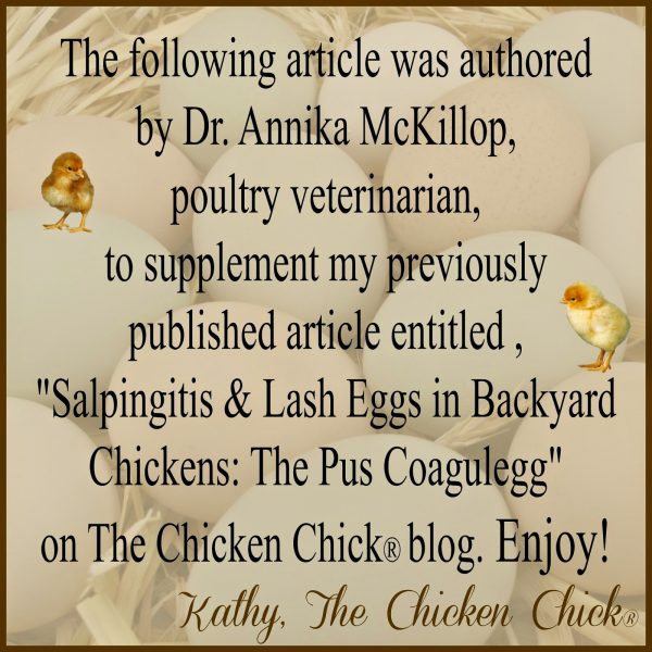 Causes of Lash Eggs & Salpingitis by Annika McKillop DVM,
