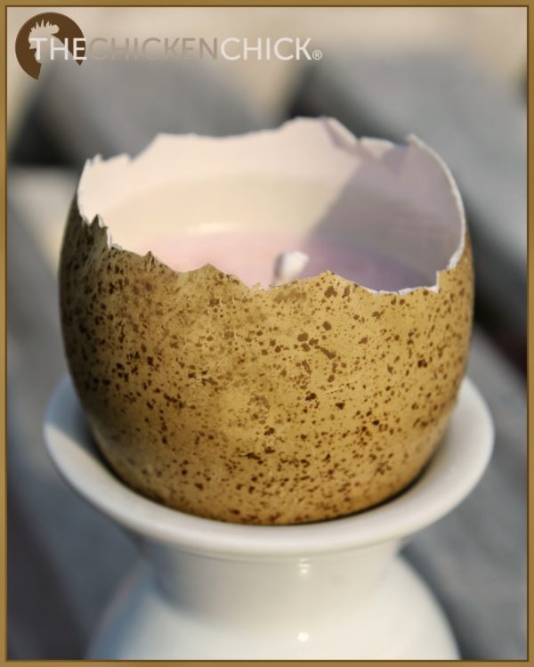 DIY Eggshell Candles Tutorial | The Chicken Chick®