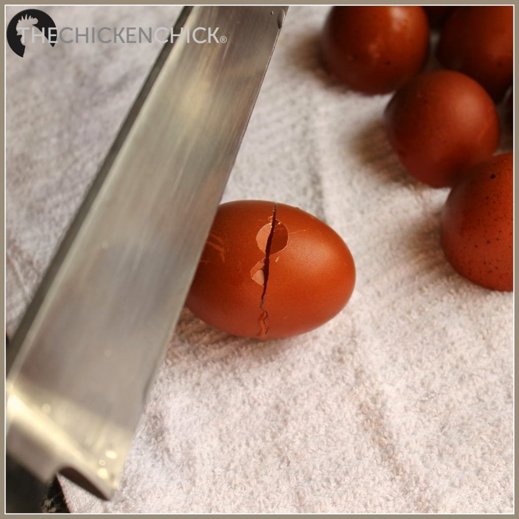 DIY Eggshell Candles Tutorial | The Chicken Chick®