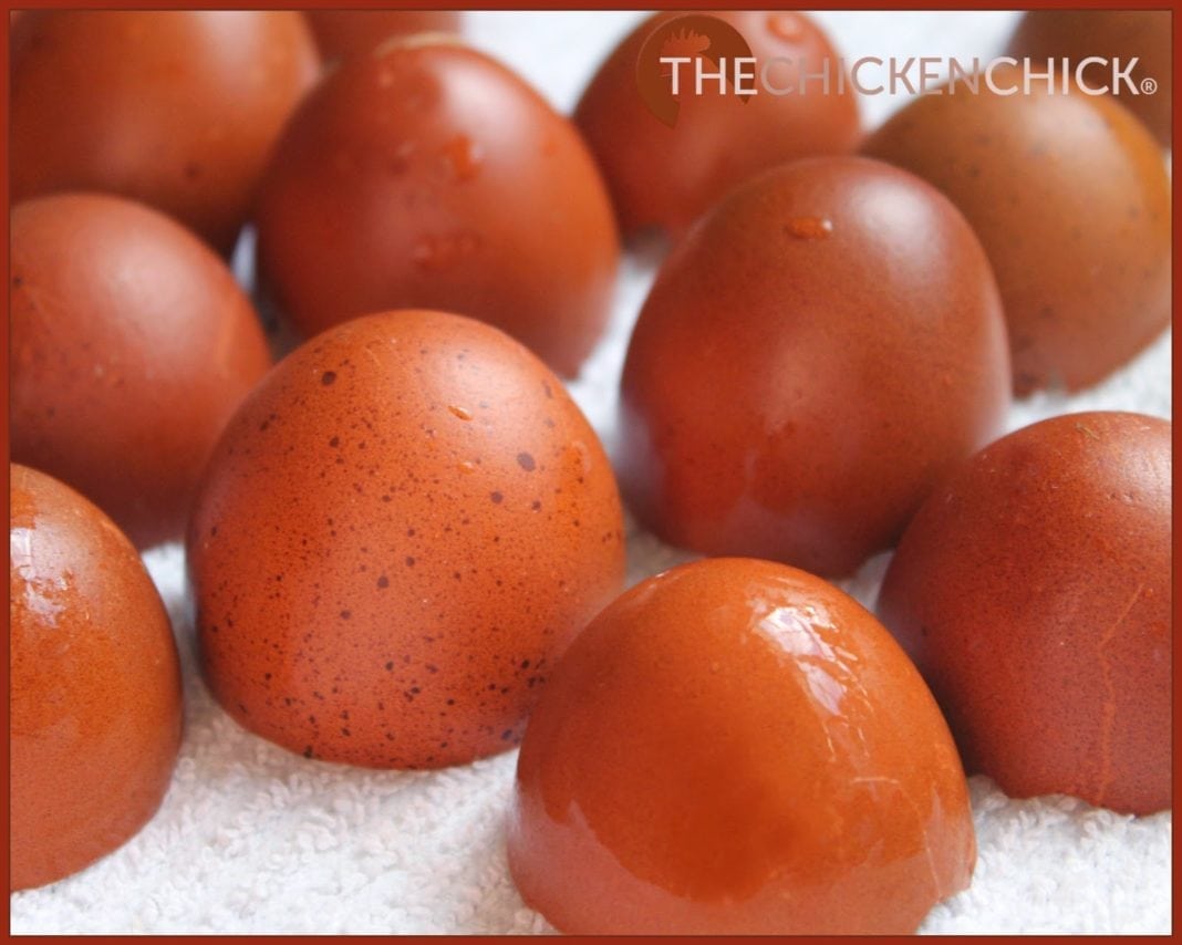 DIY Eggshell Candles Tutorial | The Chicken Chick®