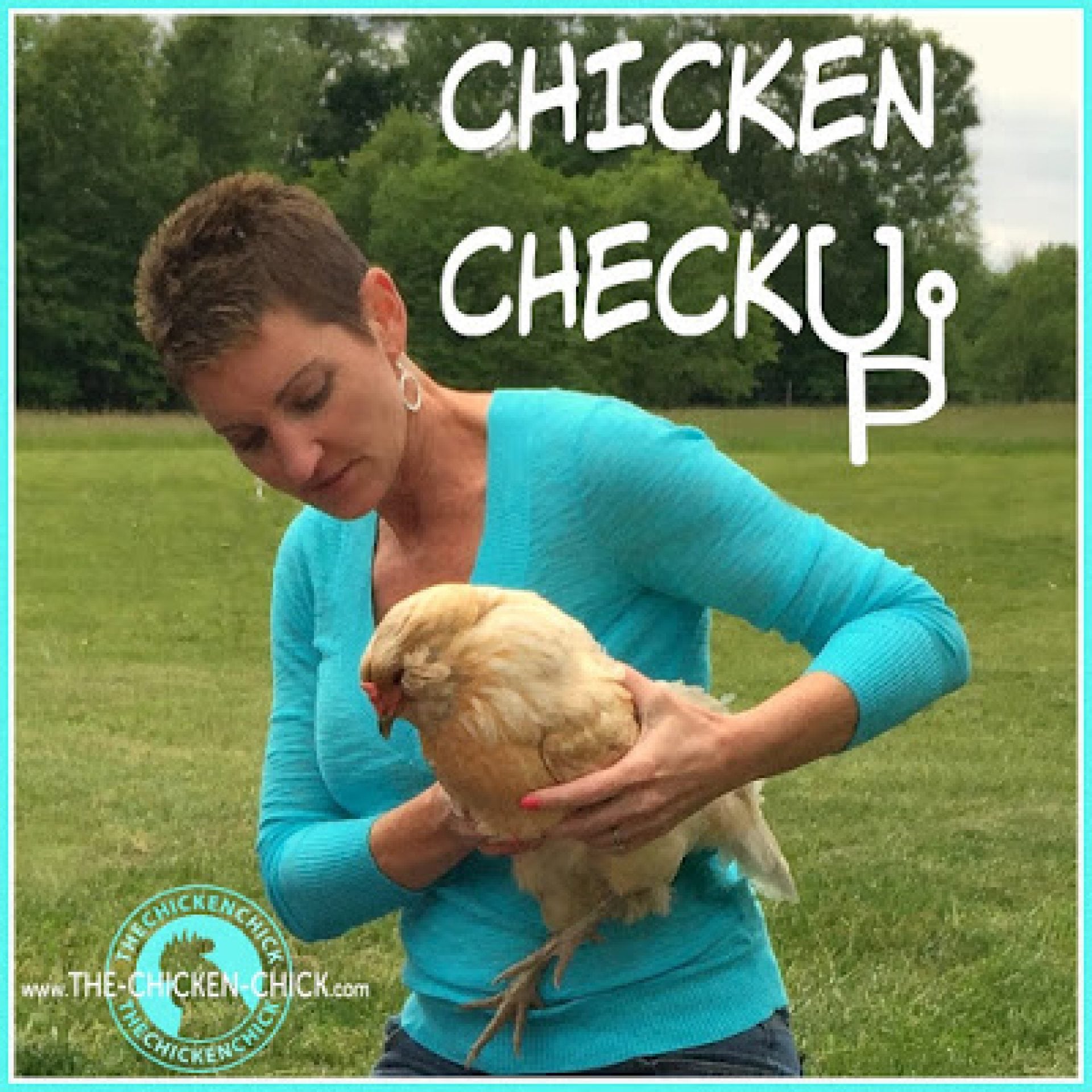 Chicken Care | The Chicken Chick®