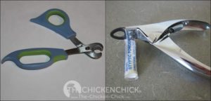 When and How to Trim a Chicken's Nails & Rooster's Spurs