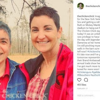 Clever Chicks Blog Hop #254 | The Chicken Chick®