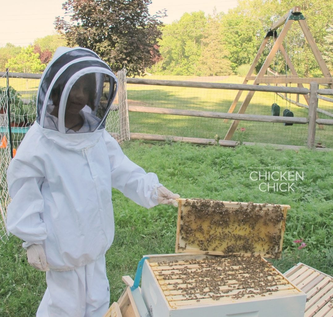 My Beekeeping Anniversary & Celebrating National Pollinator Week
