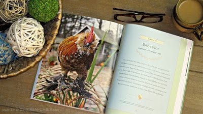 The Chicken Chick's Guide to Backyard Chickens | The Chicken Chick®