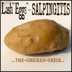 Salpingitis & Lash Eggs in Backyard Chickens: The Pus Coagulegg