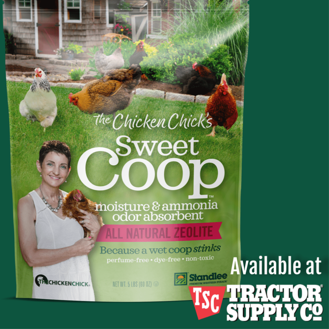 How to Help a Sick Chicken | The Chicken Chick®