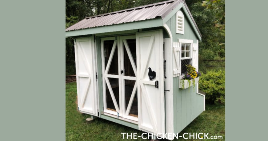 The Chicken Chick Essential Coop™ | The Chicken Chick®
