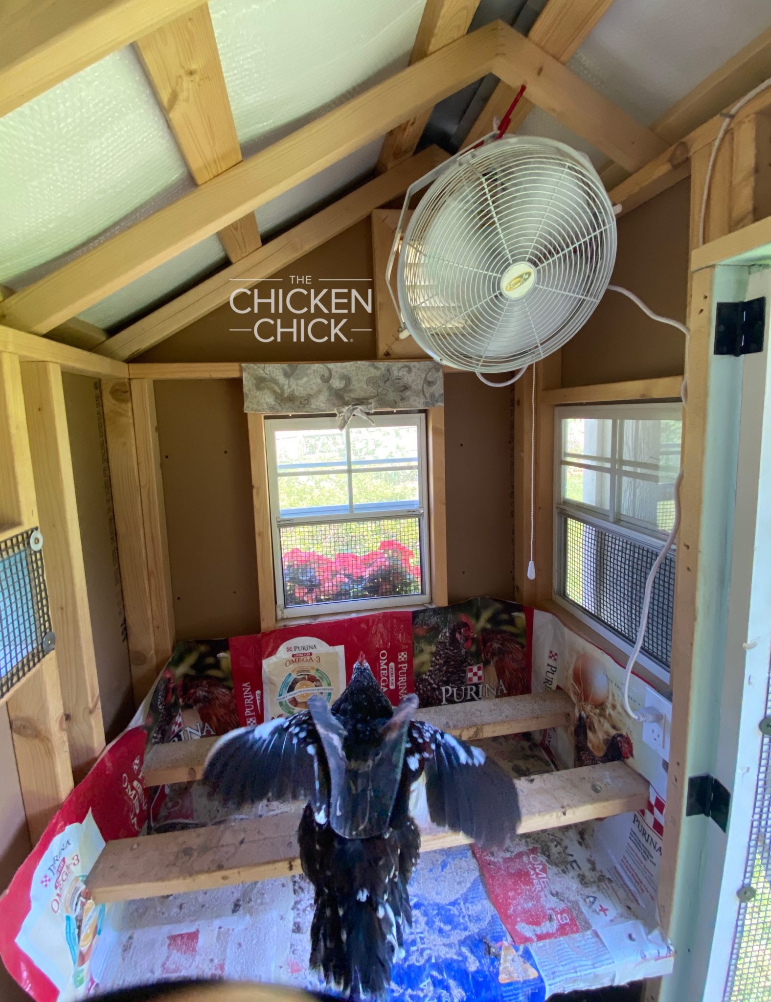 Chicken Coop Design Essentials, Details and Luxuries Guide