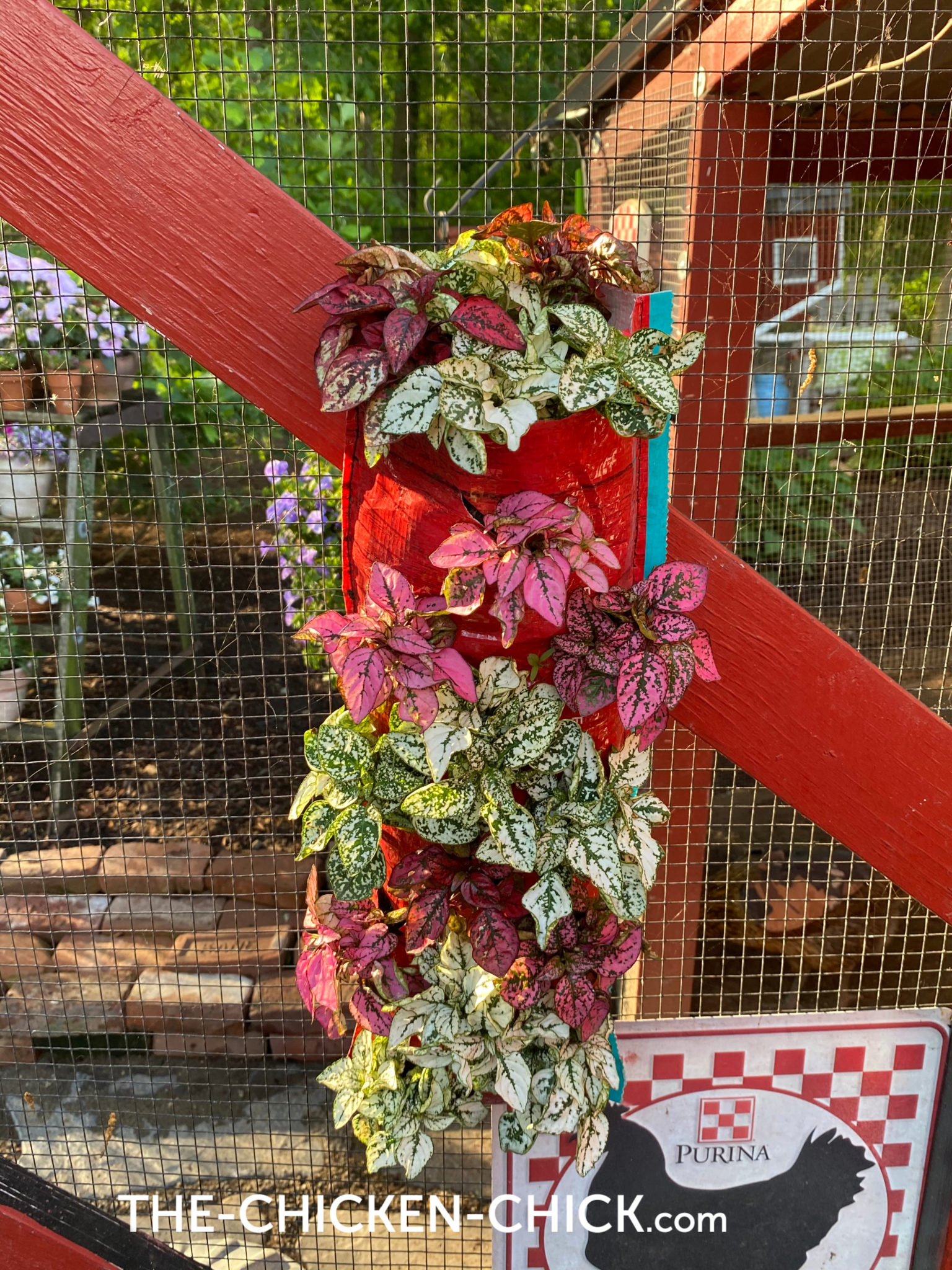 DIY Re-purposed Chicken Feed Bag Projects | The Chicken Chick®