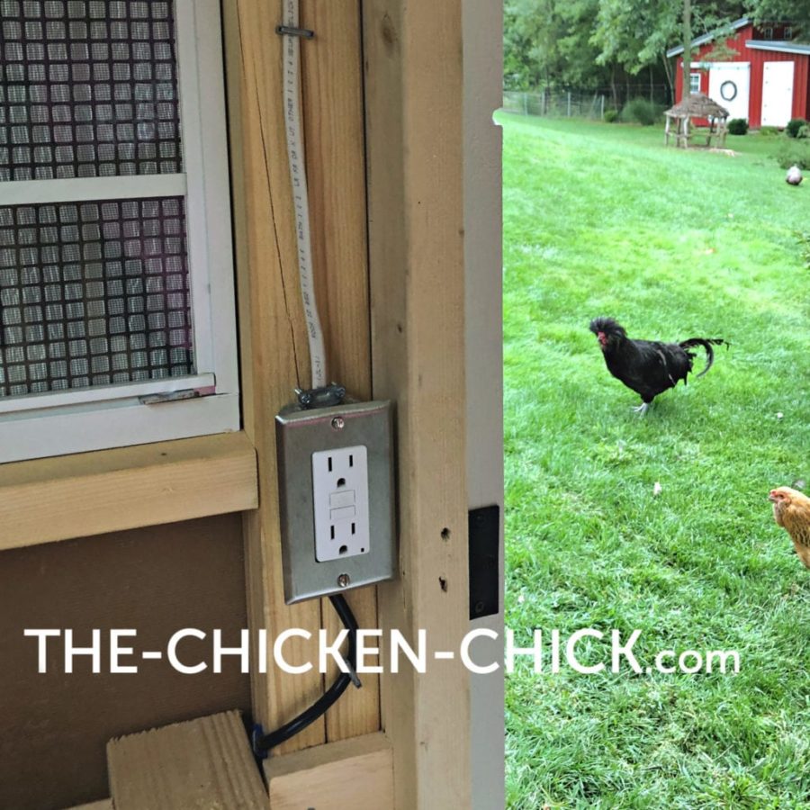 The Chicken Chick Essential Coop™ | The Chicken Chick®