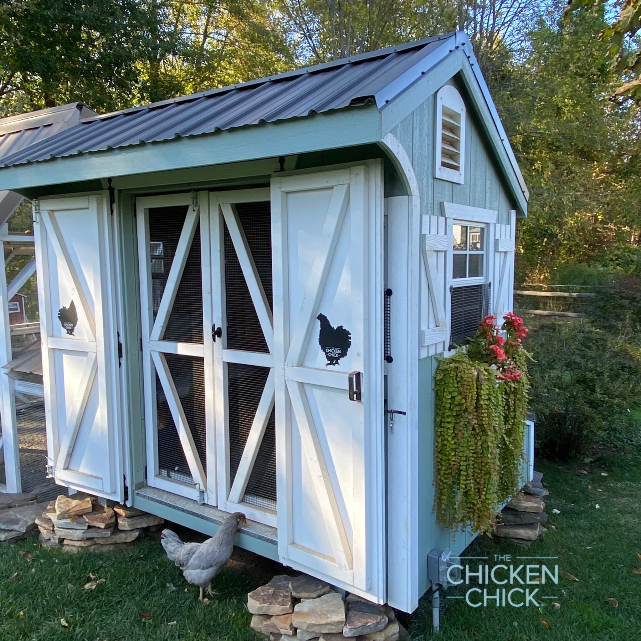The Chicken Chick Essential Coop™ | The Chicken Chick®