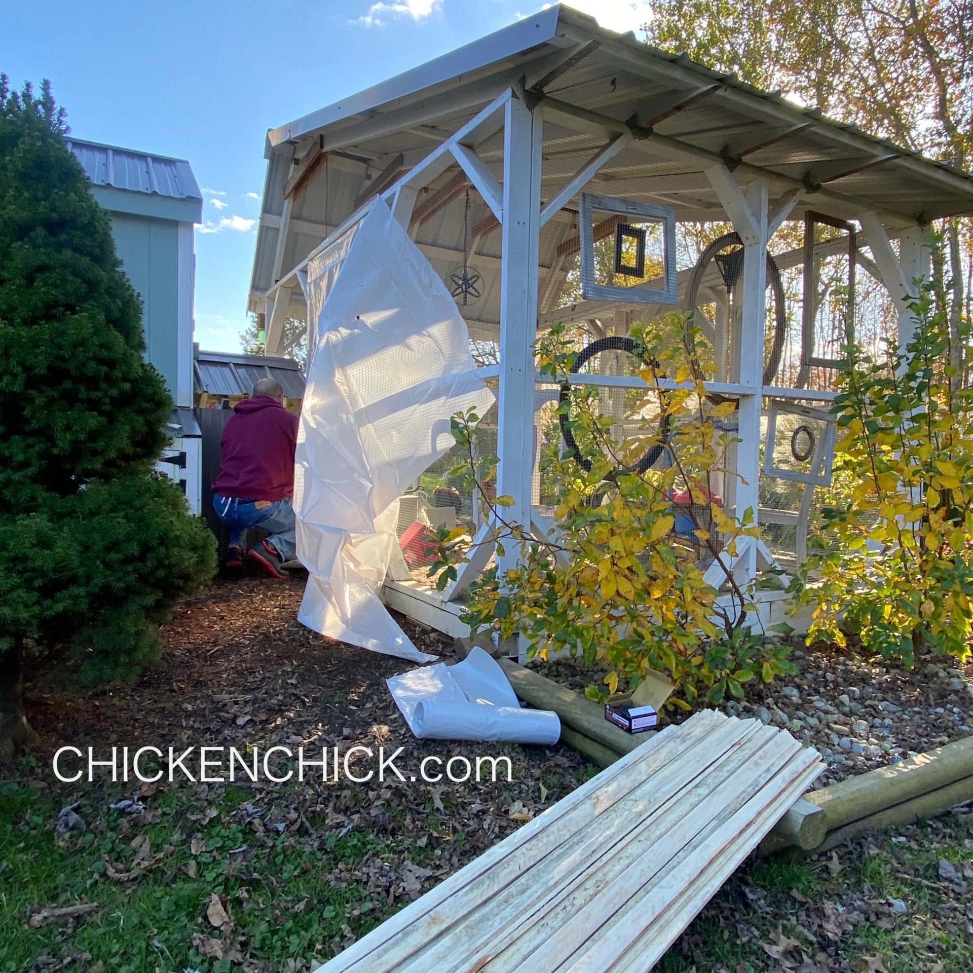 Surviving Winter with Chickens | The Chicken Chick®
