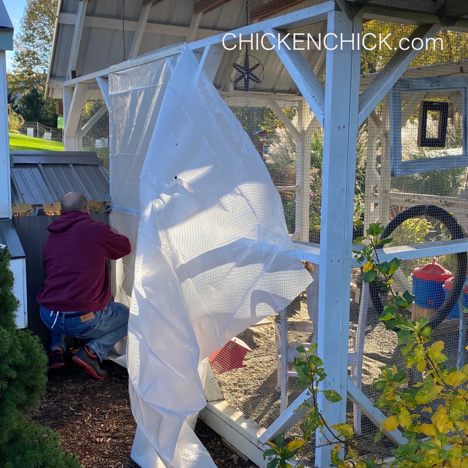 Surviving Winter with Chickens | The Chicken Chick®
