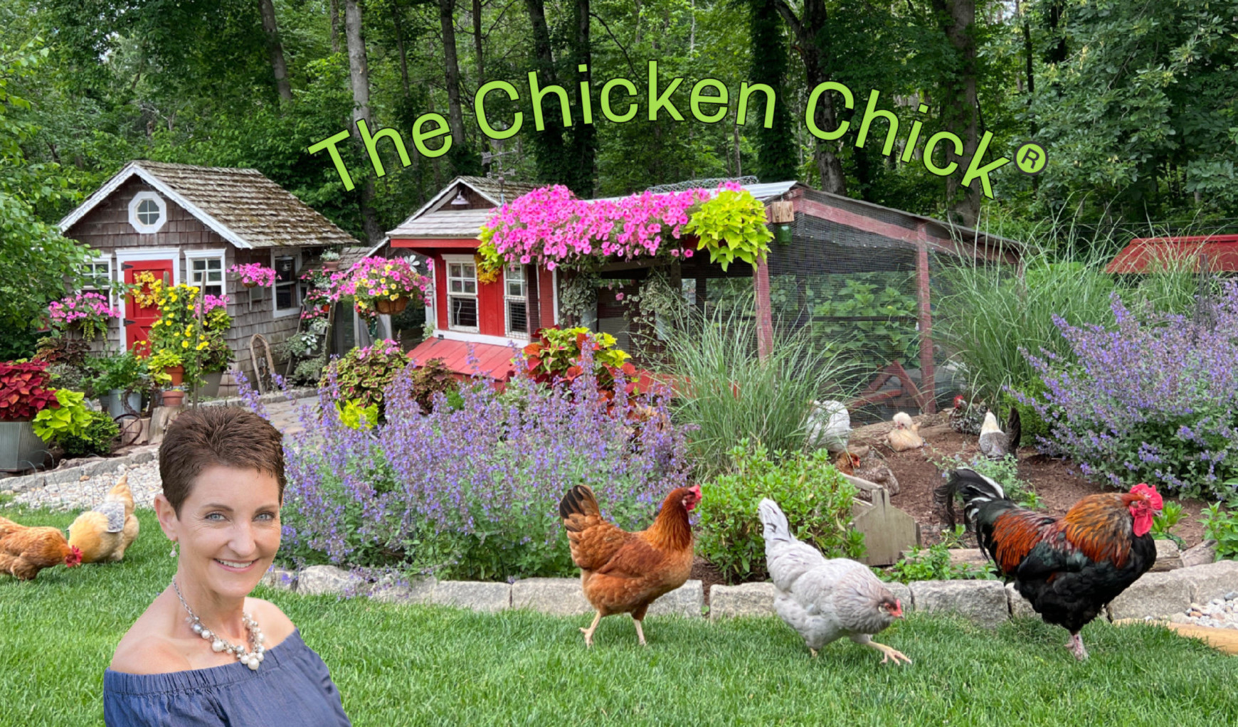 When to Move Chicks from Brooder to Chicken Coop | The Chicken Chick®