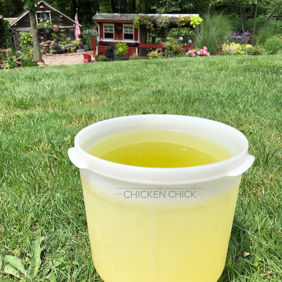 Hot Weather Electrolyte Ice for Backyard Chickens | The Chicken Chick®